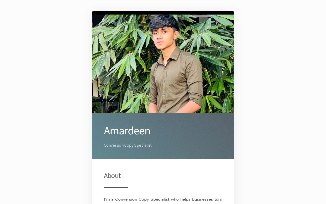 My portfolio